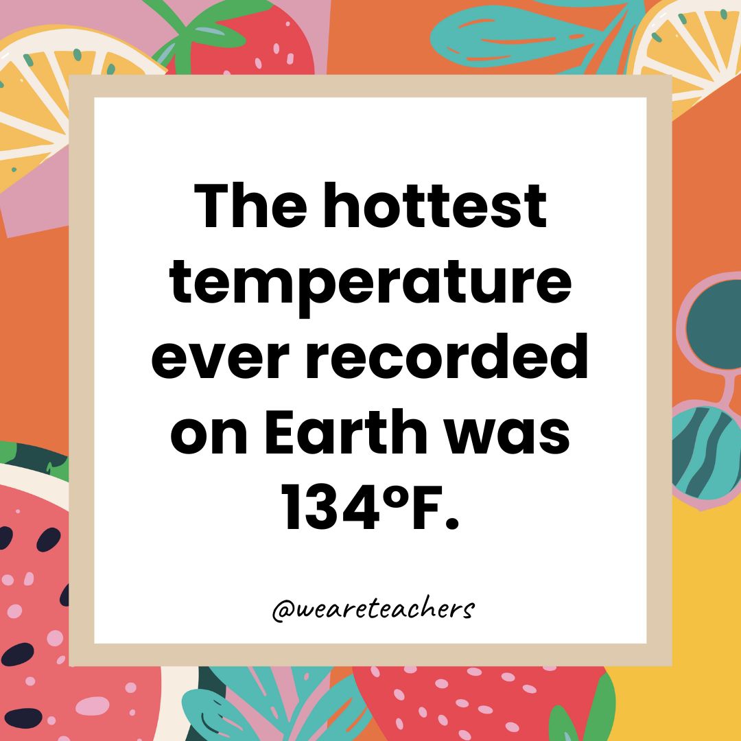 25 Fun and Fascinating Facts About Summer - April 2025