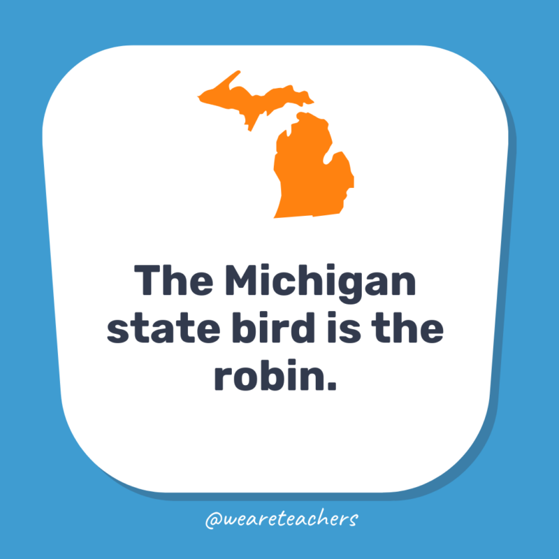 60 Incredible Facts About Michigan