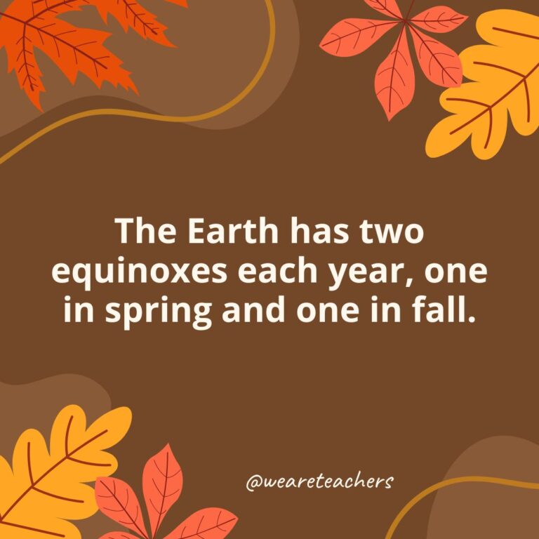 20 Fun and Fascinating Facts About Fall