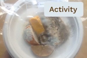 78 Fantastic 4th Grade Science Projects and Experiments