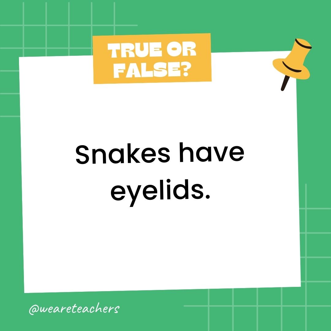 160 True or False Questions (With Answers)