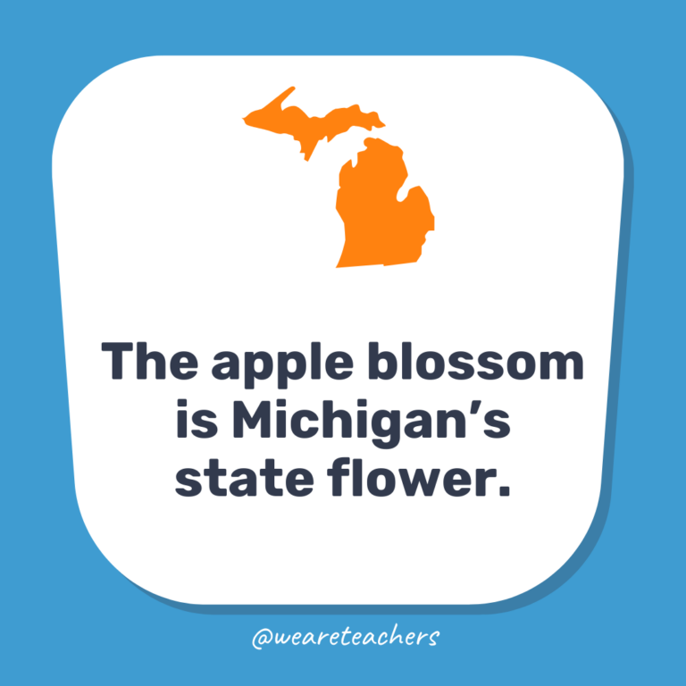 60 Incredible Facts About Michigan
