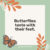 35 Fascinating and Fun Facts About Butterflies