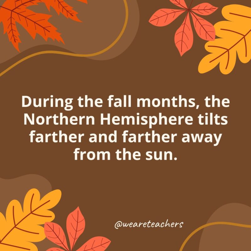 20 Fun and Fascinating Facts About Fall