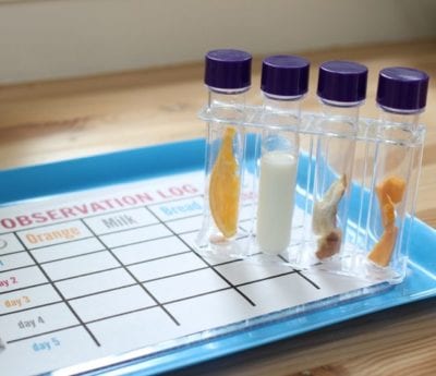 75 5th Grade Science Projects for the Classroom or Science Fair ...