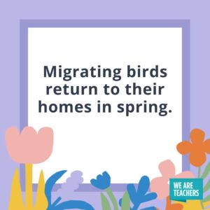 25 Fun Facts About Spring To Brighten Your Day