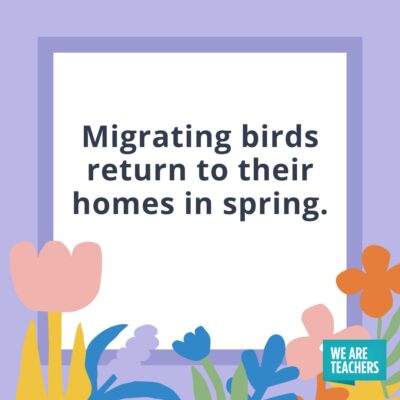 25 Fun Facts About Spring To Brighten Your Day