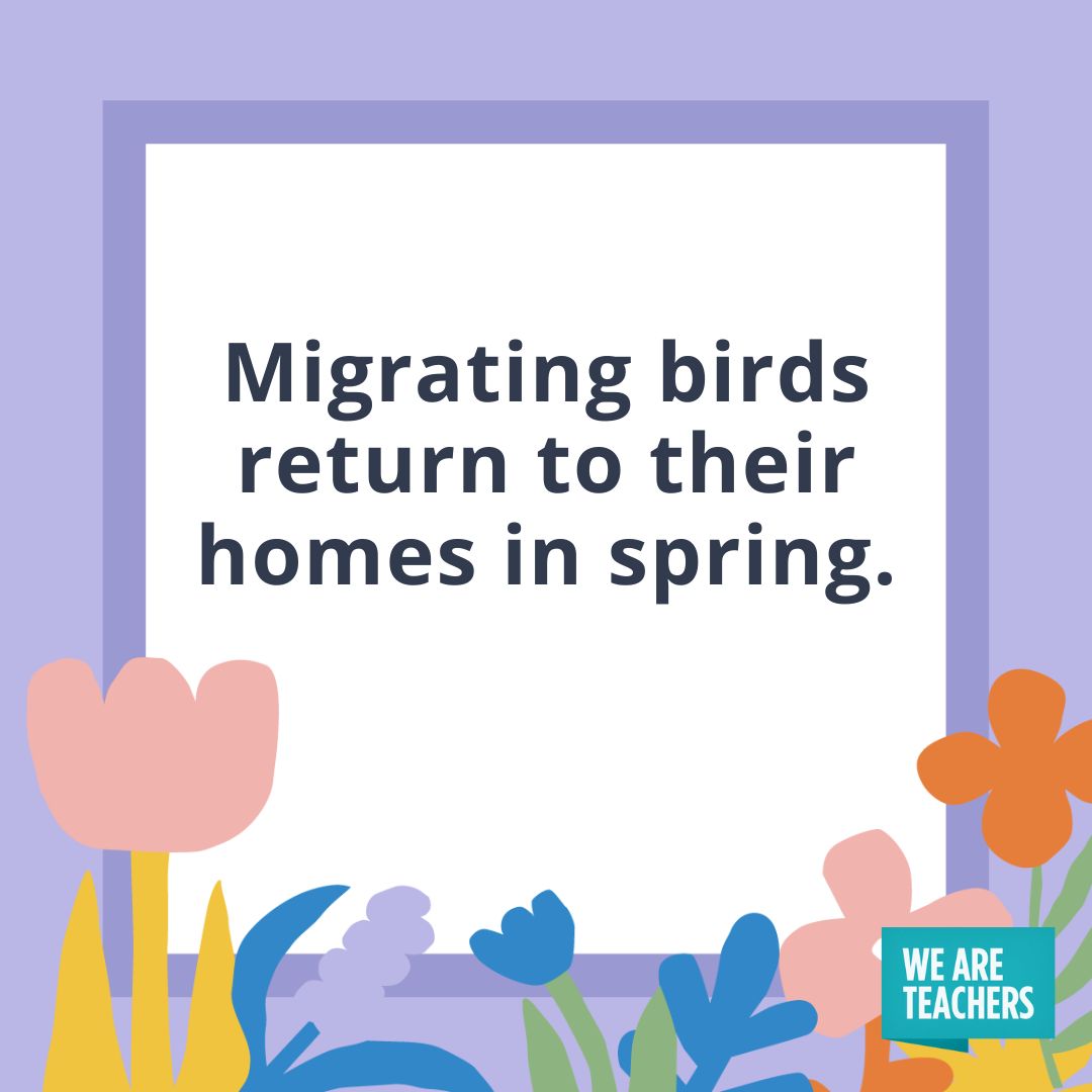 25 Fun Facts About Spring To Brighten Your Day