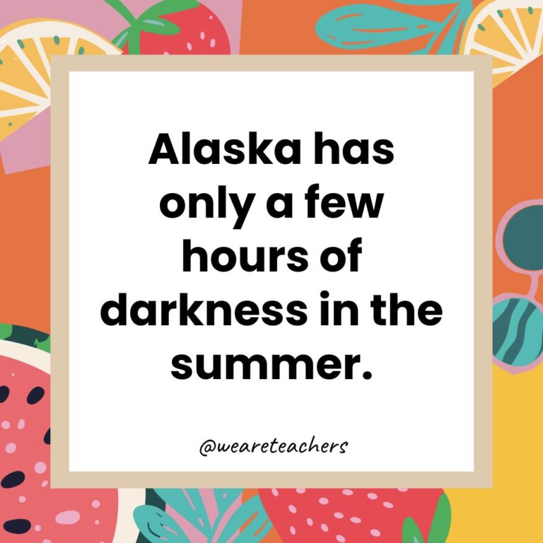 25 Fun and Fascinating Facts About Summer