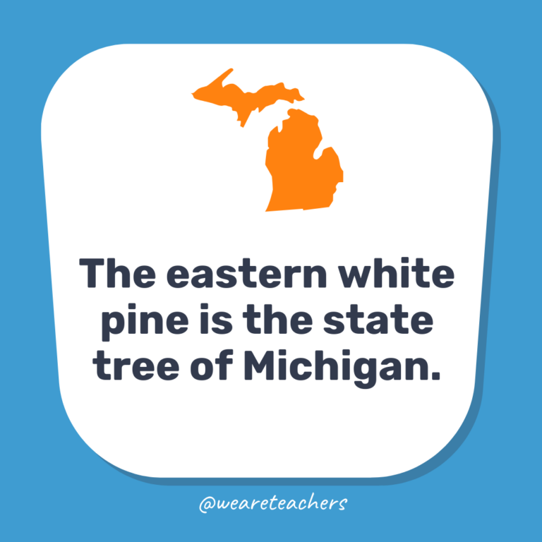 60 Incredible Facts About Michigan