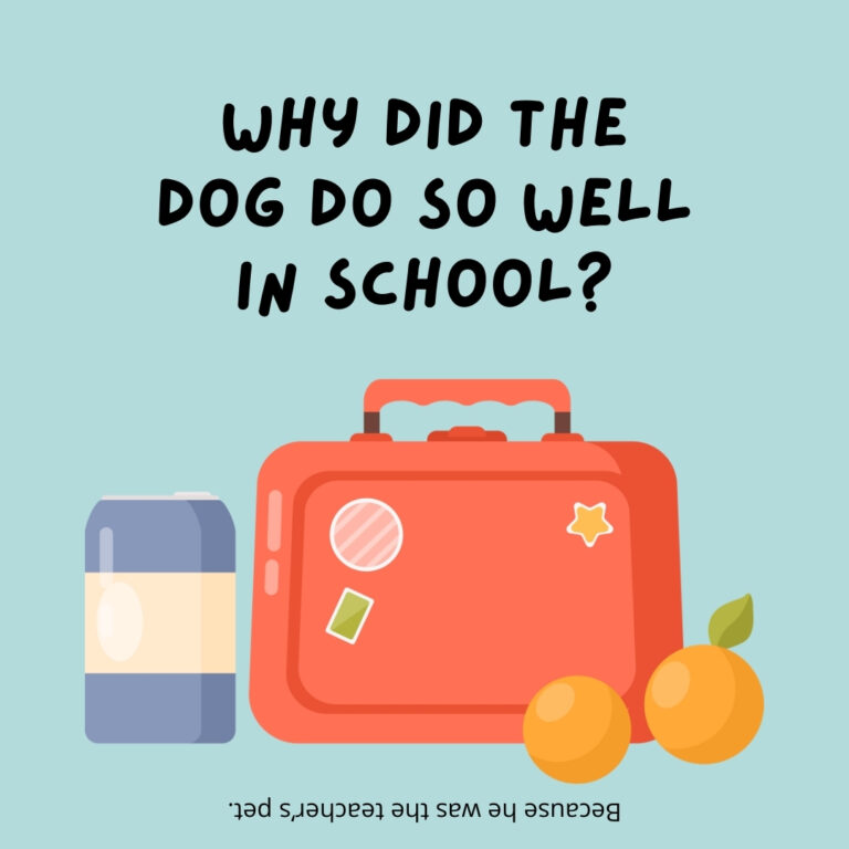 75 Hilarious Lunch Box Jokes for Kids