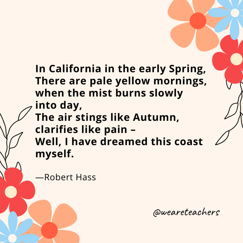 70+ Best Spring Quotes To Celebrate the Season