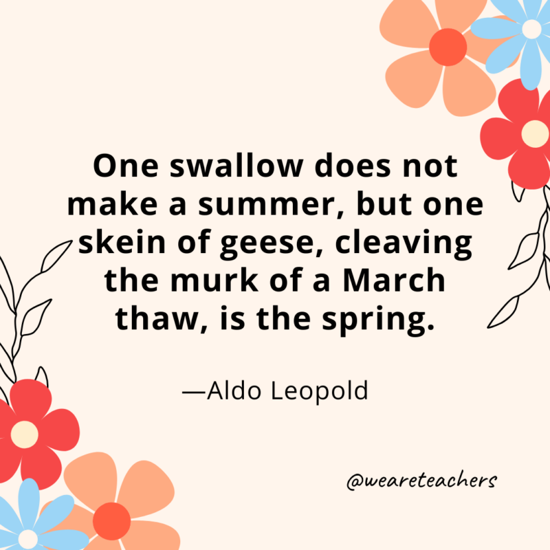 70+ Best Spring Quotes To Celebrate the Season