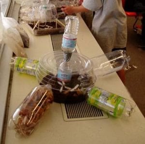 50 Top 6th Grade Science Fair Projects and Classroom Activities