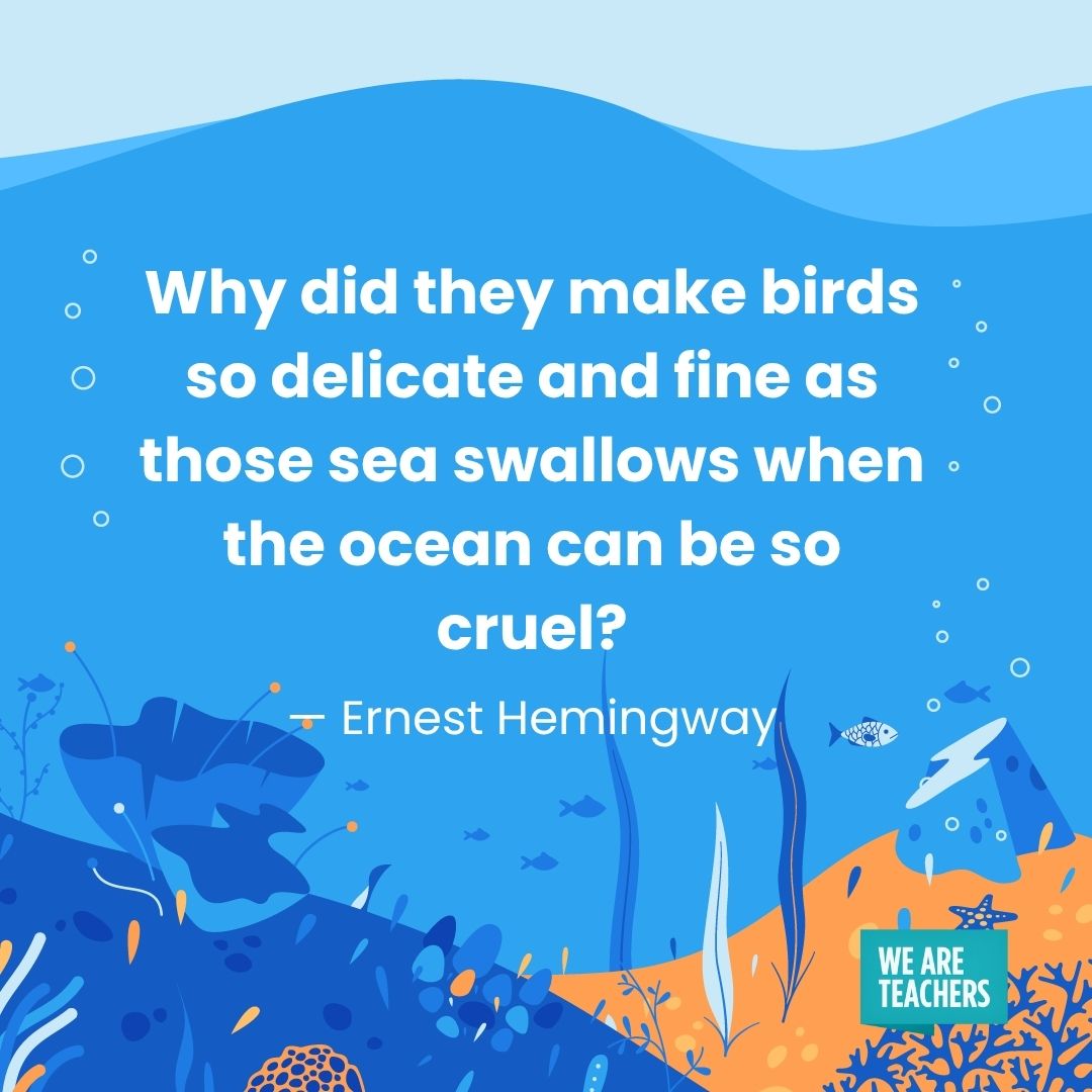 75 Ocean Quotes That Inspire Wonder and Reflection - May 2025
