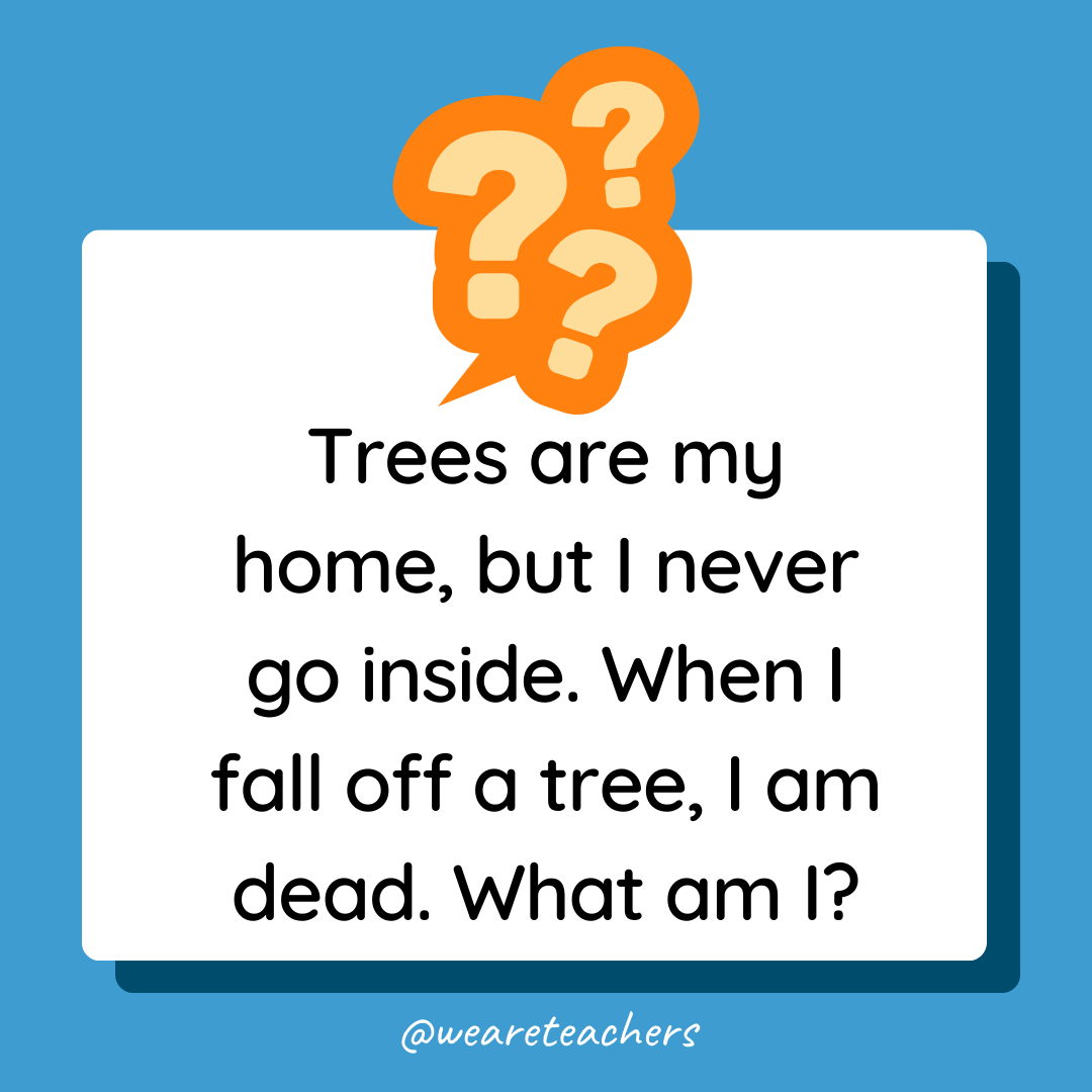 115 Clever Riddles for High School Students (Plus Answers) - My Blog