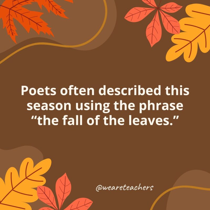 20 Fun and Fascinating Facts About Fall
