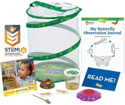 10 Buzz Worthy Creepy Crawly Insect Kits For the Classroom