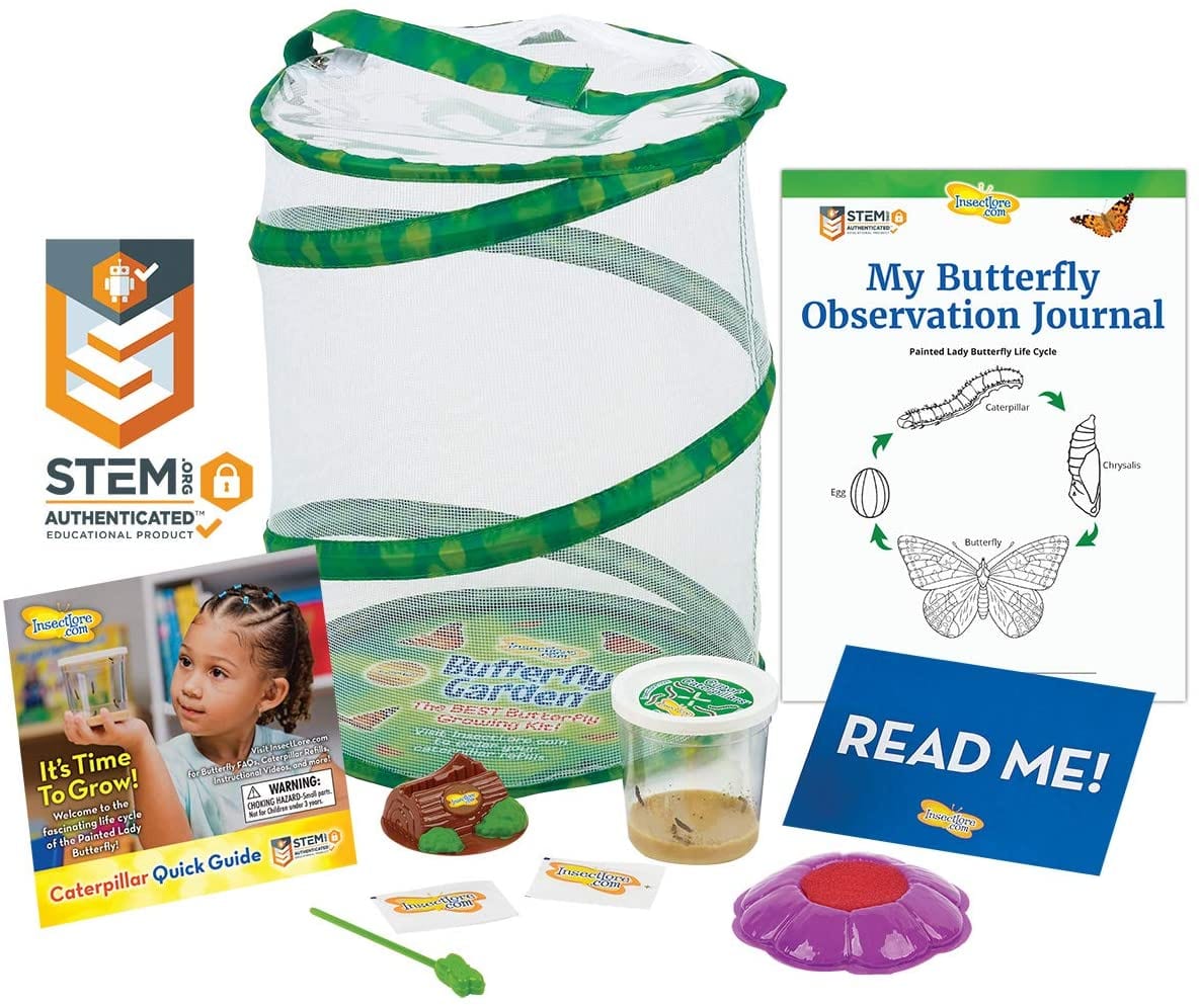 10 Buzz Worthy Creepy Crawly Insect Kits For the Classroom