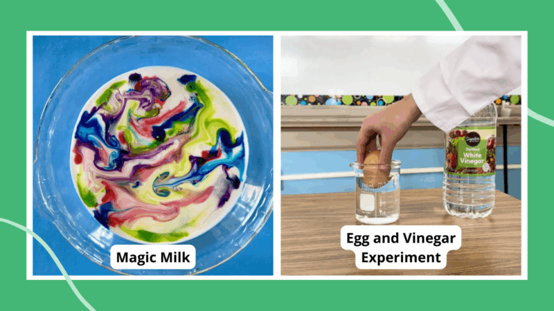 79 Best 8th Grade Science Fair Projects and Classroom Activities