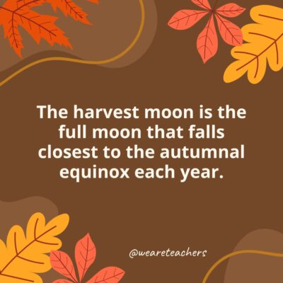 20 Fun and Fascinating Facts About Fall