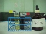 80 Best 8th Grade Science Fair Projects and Classroom Activities ...