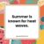 25 Fun and Fascinating Facts About Summer