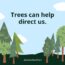55 Fascinating Facts About Trees for Kids