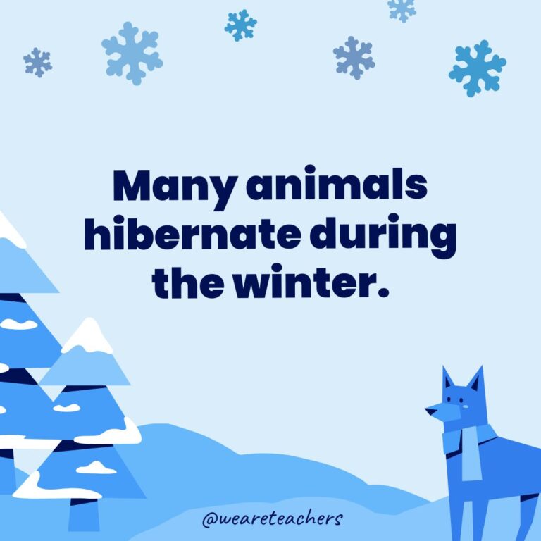 25 Fun and Fascinating Facts About Winter