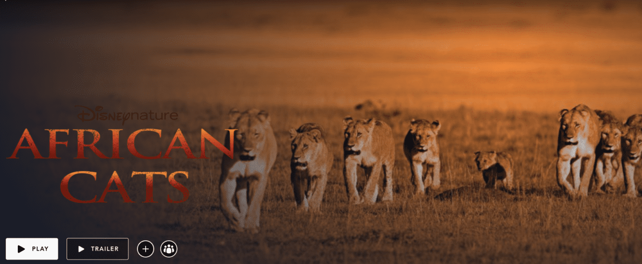 50 Great Educational Disney+ Shows for Distance Learning