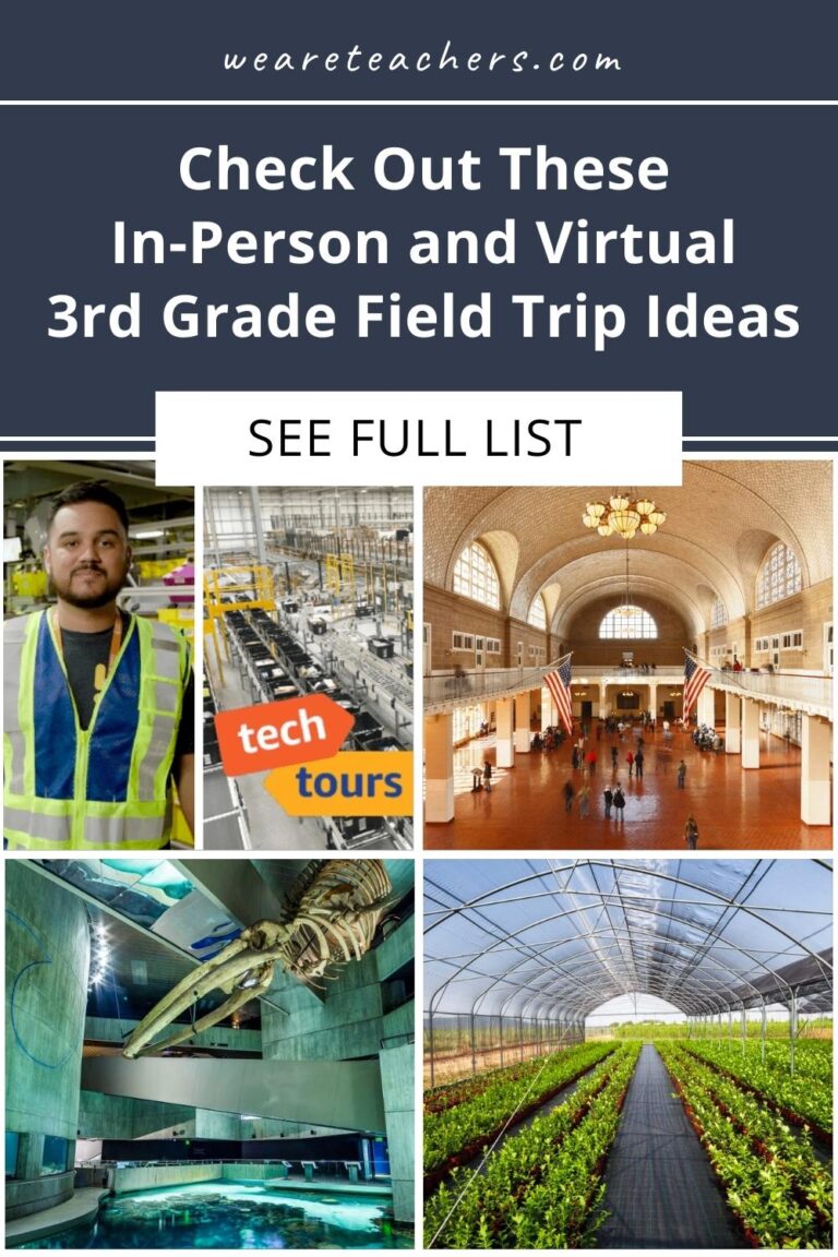 Virtual and In-Person 3rd Grade Field Trips