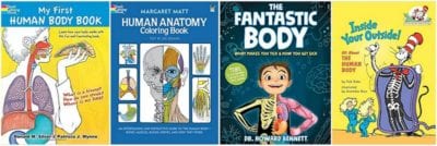 31 Interactive Anatomy Activities to Teach About the Human Body
