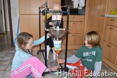 31 Interactive Anatomy Activities to Teach About the Human Body