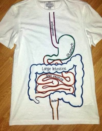 31 Interactive Anatomy Activities to Teach About the Human Body