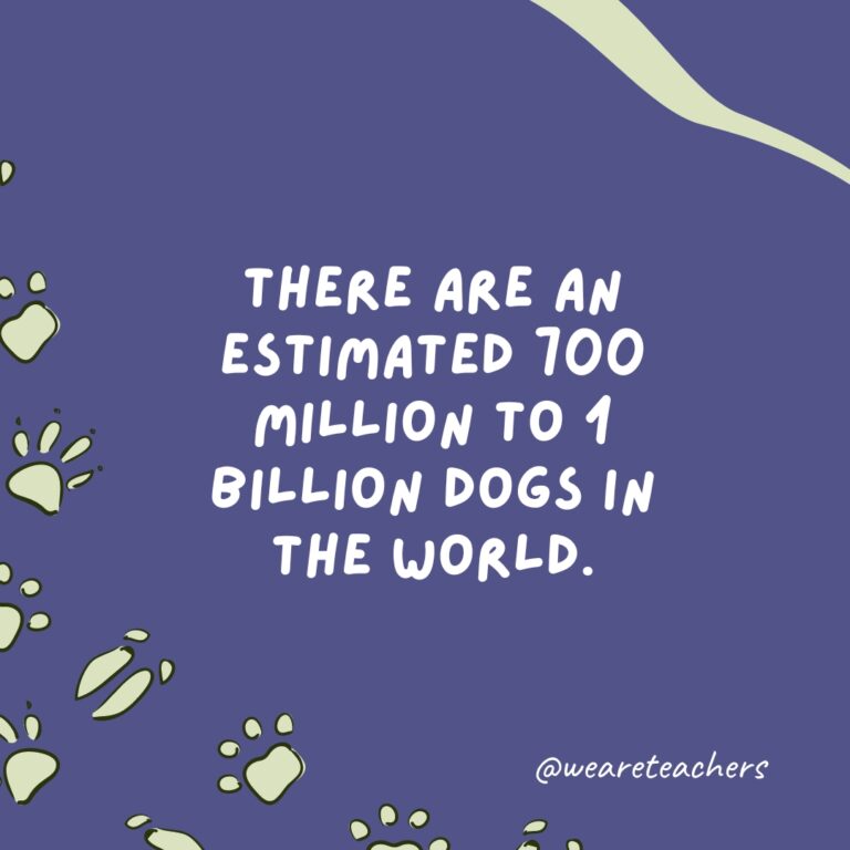 290 Fascinating Animal Facts That Will Amaze You