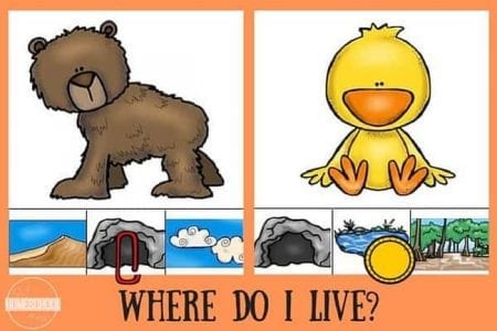 20 Wild Ways to Explore Animal Habitats With Kids