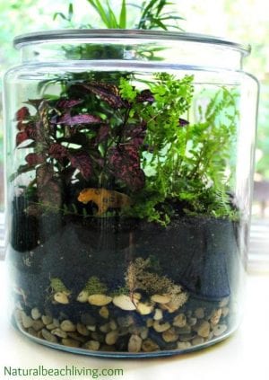 20 Wild Ways to Explore Animal Habitats With Kids