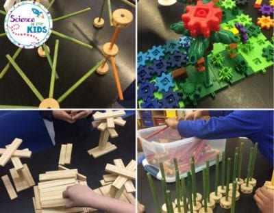 20 Wild Ways to Explore Animal Habitats With Kids