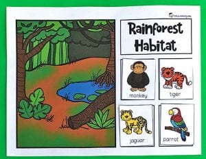20 Wild Ways to Explore Animal Habitats With Kids