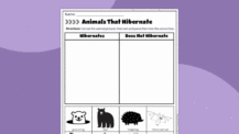 12 Animals That Hibernate (Plus a Free Worksheet Bundle)