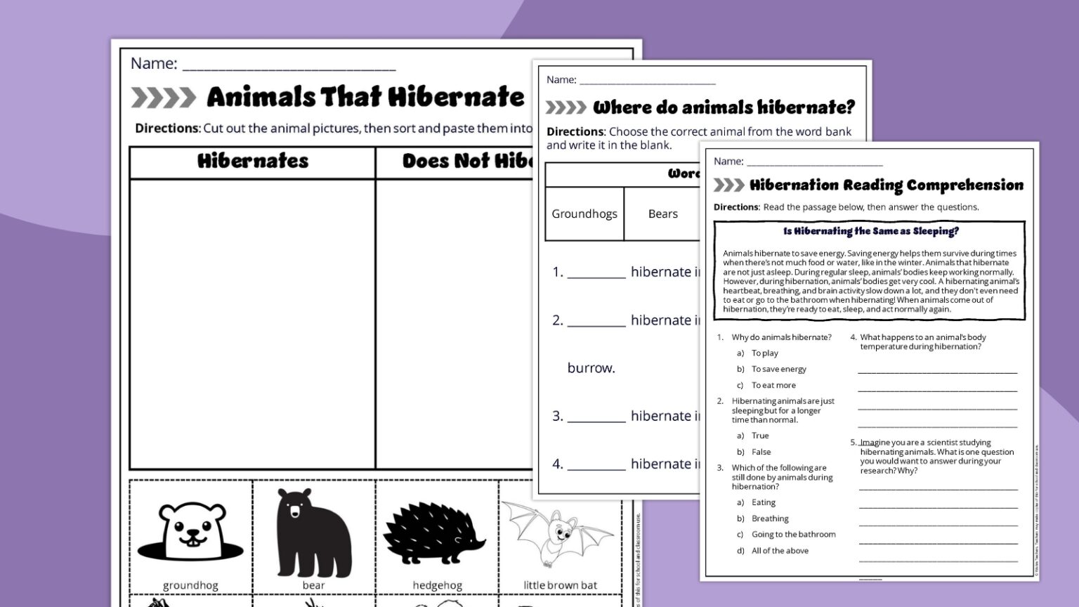 12 Animals That Hibernate (Plus a Free Worksheet Bundle)