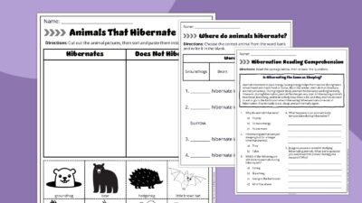 12 Animals That Hibernate (Plus a Free Worksheet Bundle)