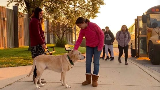 Dogs in the Classroom Improve SEL, Cognitive, and Even Reading Skills