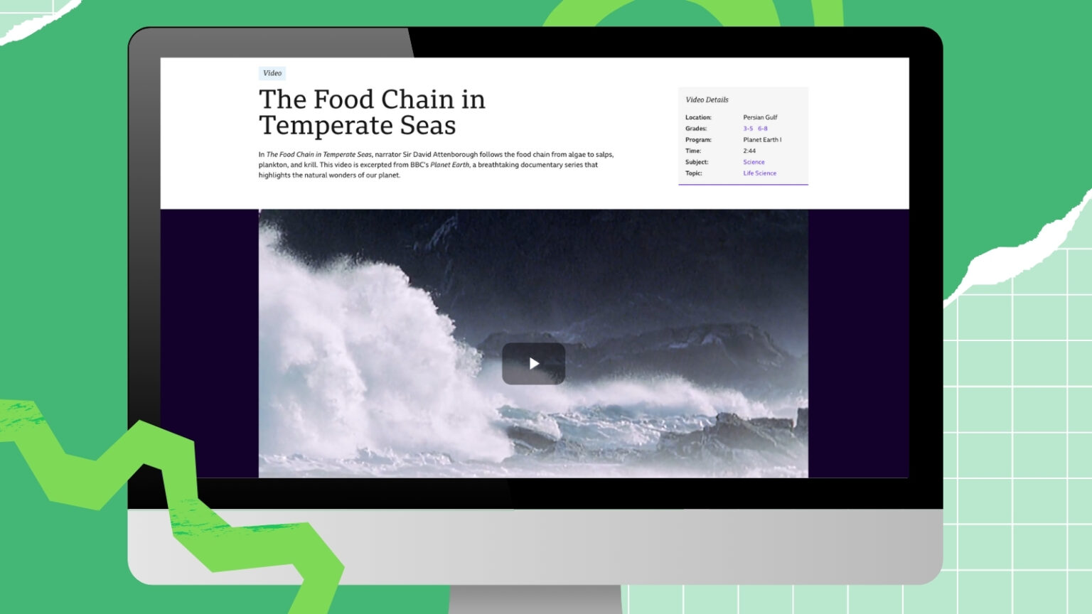 27 Fun Food Web and Food Chain Activities