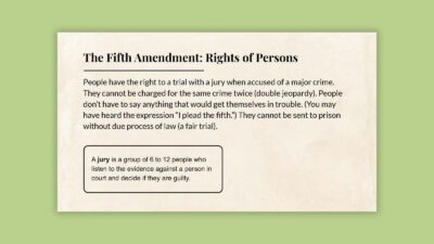 Bill of Rights for Kids (Free Google Slides, Activities, and More)