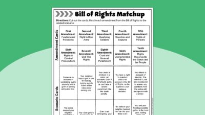 Free Bill of Rights Worksheet Bundle