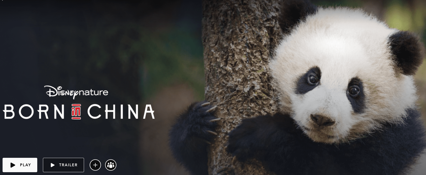 50 Great Educational Disney+ Shows for Distance Learning