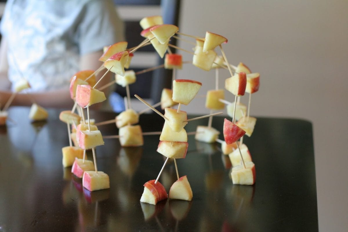 The Best Apple Science Activities for Grades PreK-2 - We Are Teachers