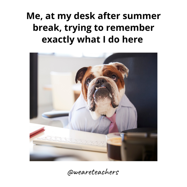 30 Hilarious Back-to-School Memes
