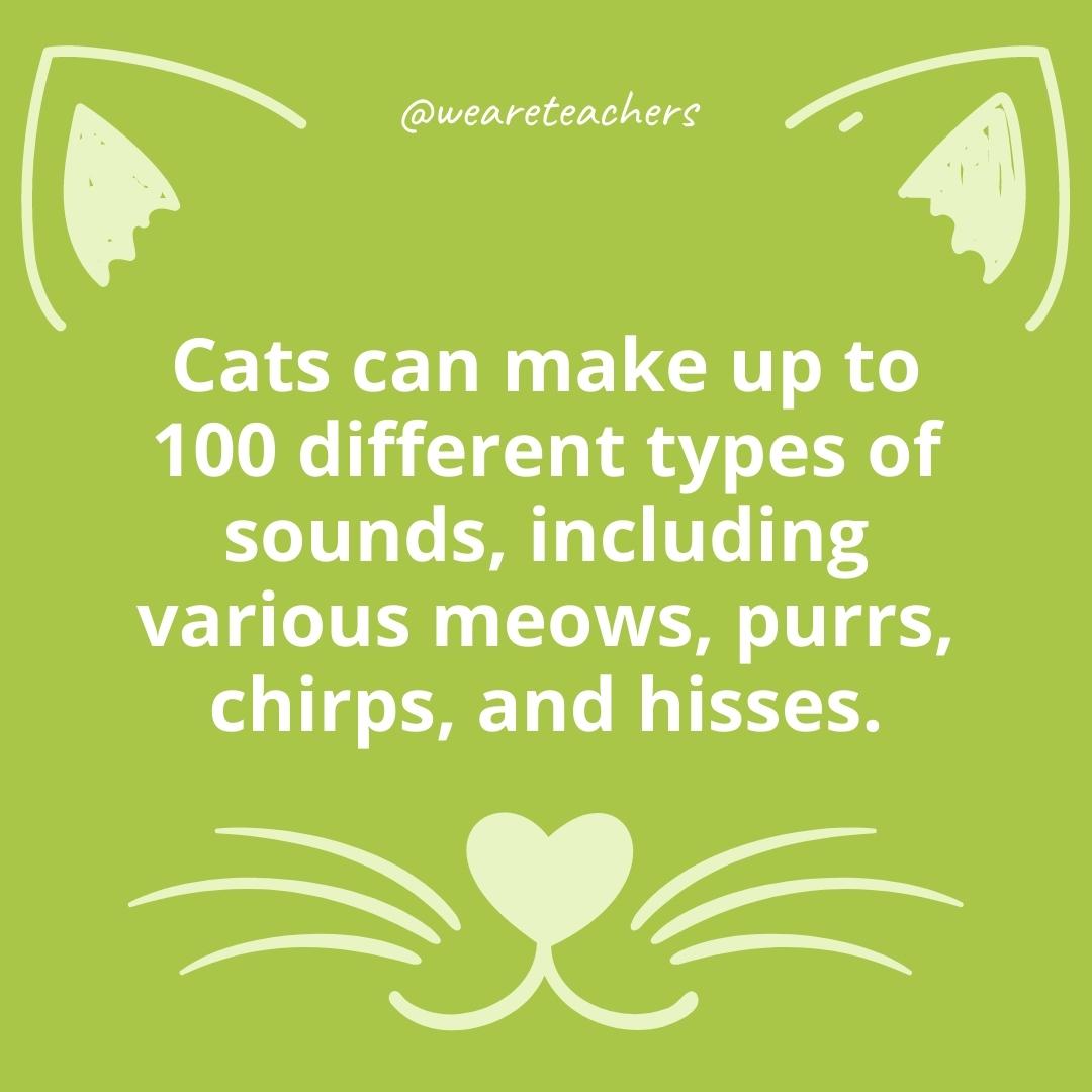 25 Cat Facts for Kids That Are Purrrfect for All Ages